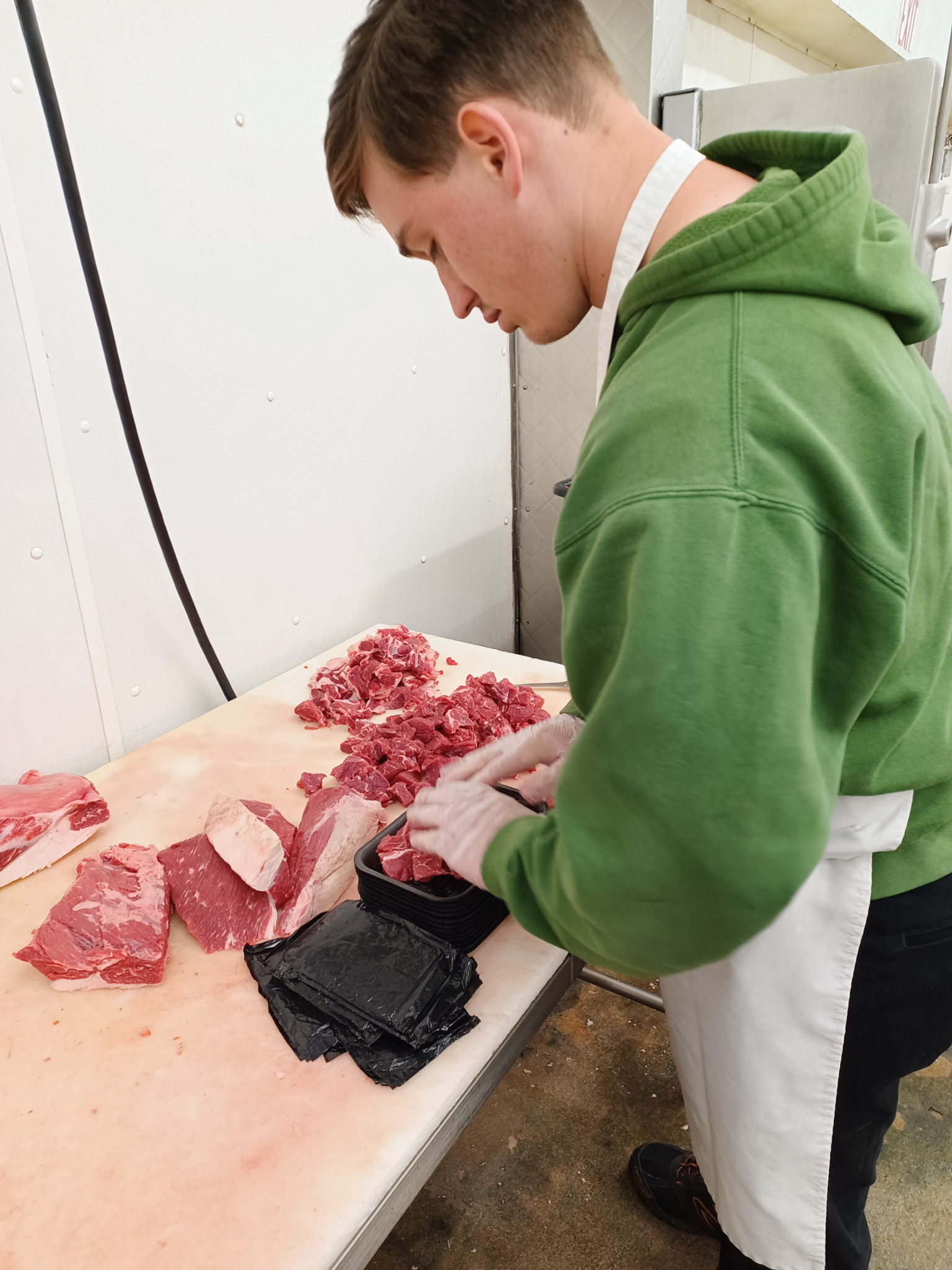 Set up to Shine: How Our OVR Job Coaches Prepares Individuals for their ...